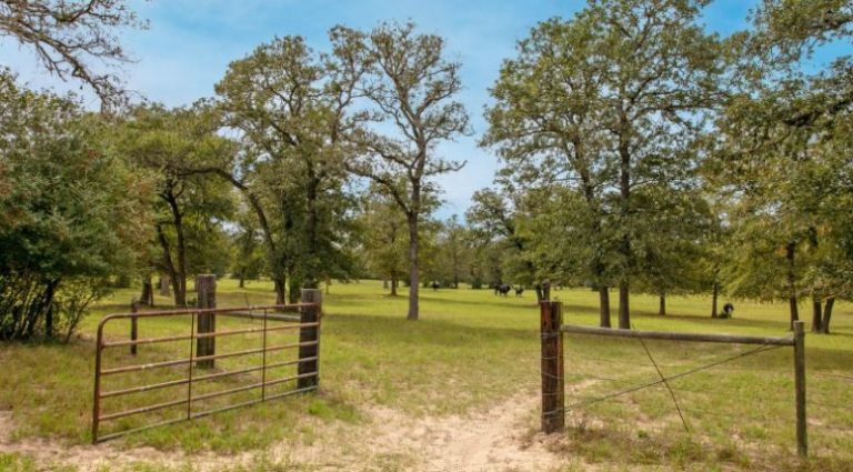 Wildlife Exemption in Burleson County: Developing a Plan - Wildlife ...