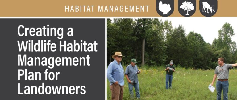 Wildlife Exemption in Gregg County - Wildlife Exemption in Texas